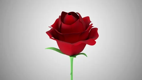 4K Loop Animation of Red Rose Rotation o... | Stock Video | Pond5