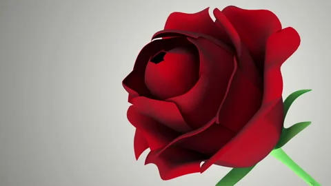 Rose Animation Stock Videos – Royalty-Free HD & 4K Videos | Pond5