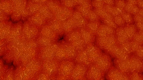Maggots Animation Stock Videos – Royalty-Free HD & 4K Videos | Pond5