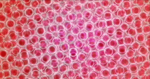 4K looping light pink animation with sph... | Stock Video | Pond5