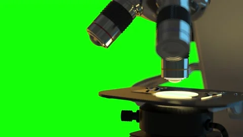 Medical Art Stock Video Footage | Royalty Free Medical Art Videos | Pond5