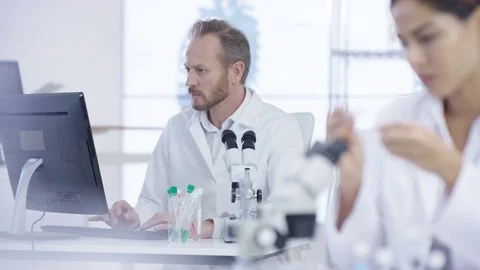 Lmab To The Stock Videos – Royalty-Free HD & 4K Videos | Pond5