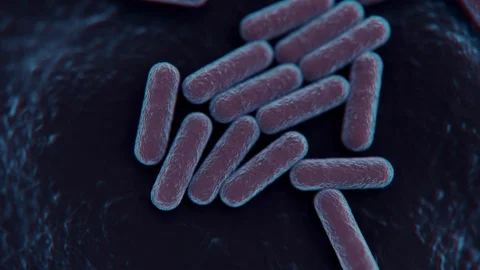 4K Microscopic view of a bacteria colony... | Stock Video | Pond5