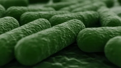 4K Microscopic view of a bacteria colony... | Stock Video | Pond5