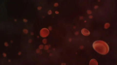 Blood Motion Graphic Stock Video Footage | Royalty Free Blood Motion ...