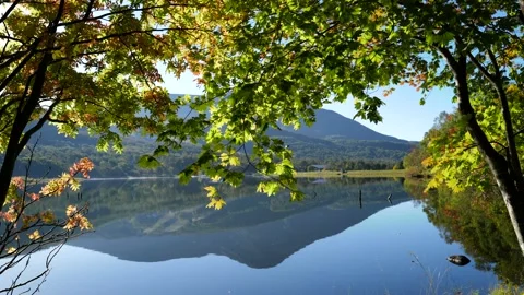 Scenesd Stock Videos – Royalty-Free HD & 4K Videos