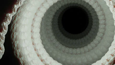 4K Muscle, tendon contraction in the for... | Stock Video | Pond5