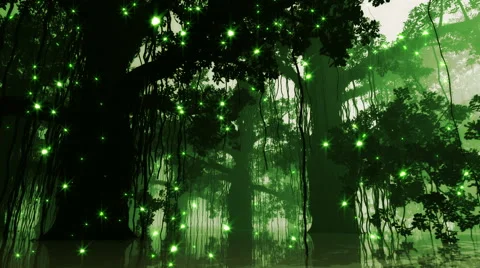 4K Mysterious Deep Jungle Fireflies in W... | Stock Video | Pond5