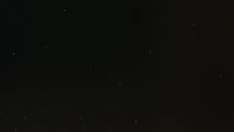 4k Natural Dust Organic Floating particl... | Stock Video | Pond5