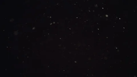 4k Natural Dust Organic Floating particl... | Stock Video | Pond5