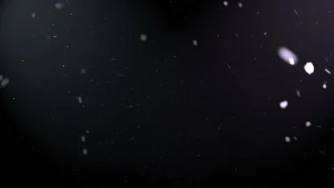 4K Natural winter snow falling isolated | Stock Video | Pond5