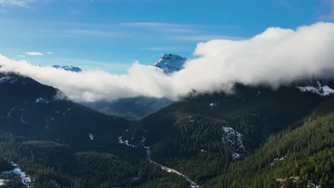 Distant Forest Stock Video Footage | Royalty Free Distant Forest Videos ...