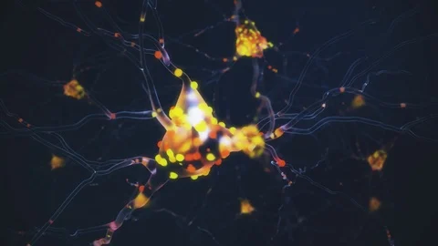 Neuronal Activity Stock Footage ~ Royalty Free Stock Videos | Pond5