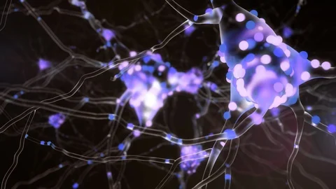 Neuronal Activity Stock Footage ~ Royalty Free Stock Videos | Pond5
