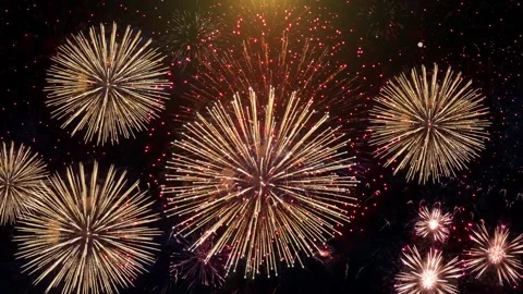 Display and Show Stock Videos – Royalty-Free HD & 4K Videos