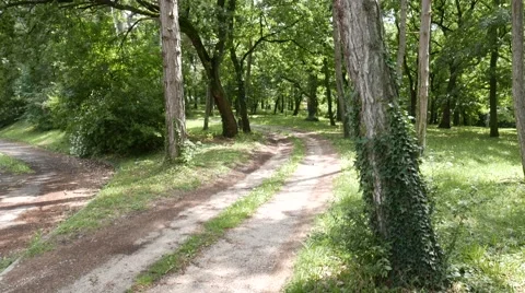 4K No Entry Sign in a Park 1 | Stock Video | Pond5