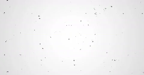 4k Old Film effect animation with dust e... | Stock Video | Pond5