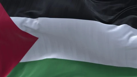 4k Palestine National flag wrinkles loop... | Stock Video | Pond5