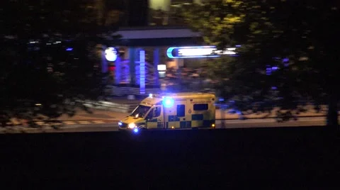 We Follow Stock Videos – Royalty-Free HD & 4K Videos