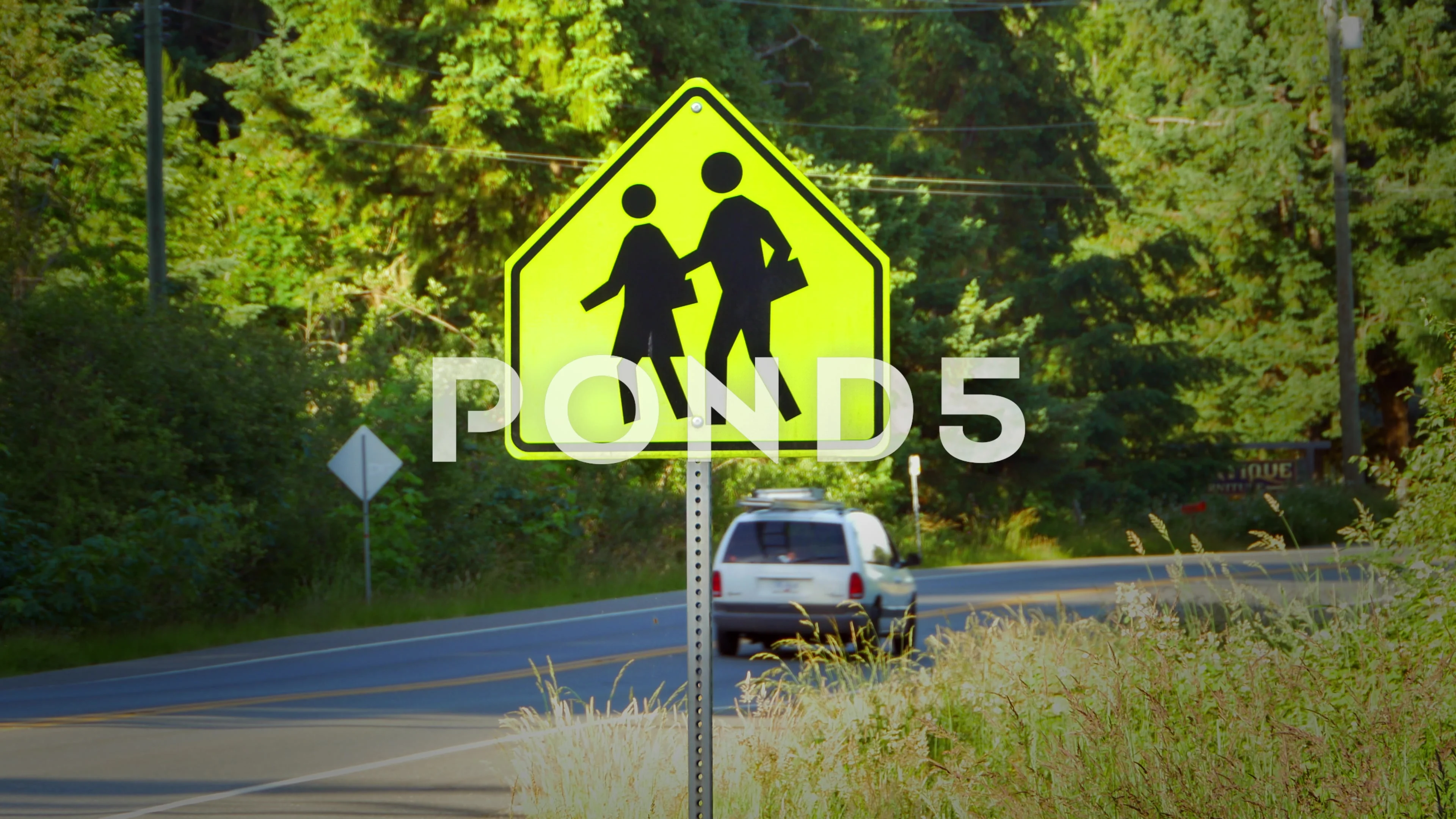 School Pedestrian Crossing Sign