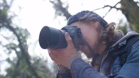 Froest Pictures Stock Videos – Royalty-Free HD & 4K Videos | Pond5