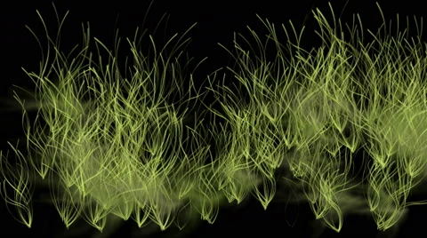 Background Grasses 4K Stock Videos – Royalty-Free HD & 4K Videos | Pond5