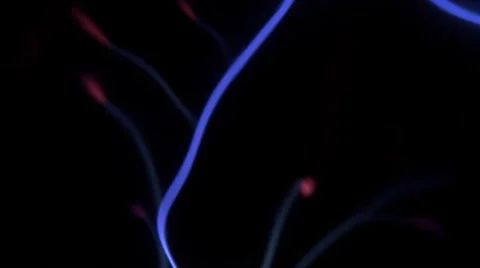 Ball Lightning Stock Footage ~ Royalty Free Stock Videos | Pond5