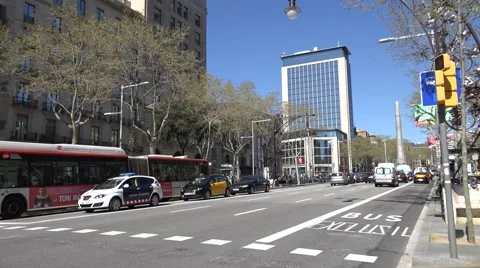 4K Public bus police car taxi wait line ... | Stock Video | Pond5