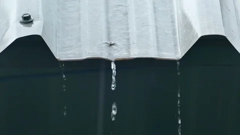 Rain Splash Stock Video Footage | Royalty Free Rain Splash Videos | Pond5