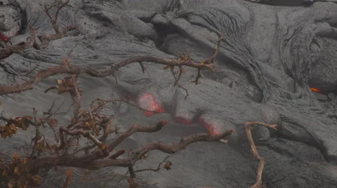 4K RAW Lava Flow And Vegetation 14 | Stock Video | Pond5