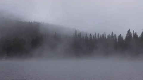 4K real time of fog drifting in a forest... | Stock Video | Pond5
