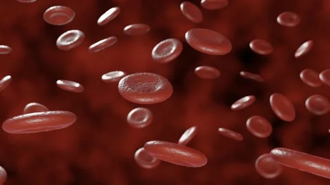 4K Red Blood Cells Moving in the Blood S... | Stock Video | Pond5