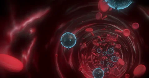 4K Red blood cells with virus V1 | Stock Video | Pond5
