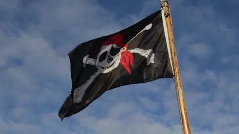 Skull Bones Wallpaper Stock Videos – Royalty-Free HD & 4K Videos | Pond5