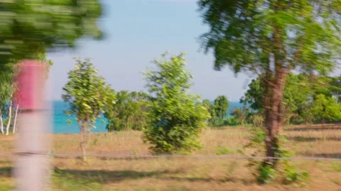 4K reveal of the sea behind a forest | Stock Video | Pond5