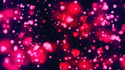 4k romantic red pink particles falling m... | Stock Video | Pond5