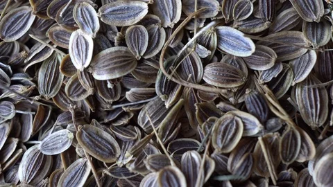 4k Rotation Fennel Seeds | Stock Video | Pond5