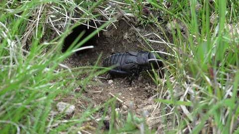 Antenna Run Stock Video Footage | Royalty Free Antenna Run Videos | Pond5