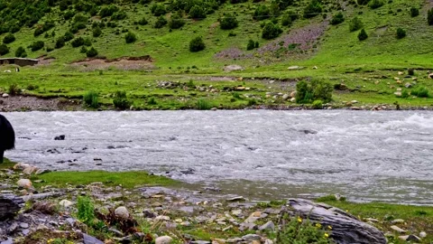 4K Scenery Of Sapu Mountain In Tibet,Chi... | Stock Video | Pond5