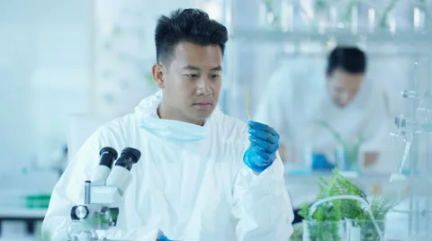 4K Scientific researchers in laboratory,... | Stock Video | Pond5