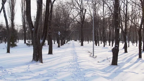 4K screen shot of a park alley with the ... | Stock Video | Pond5