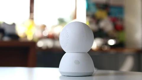 Whast Thing In Stock Videos – Royalty-Free HD & 4K Videos | Pond5