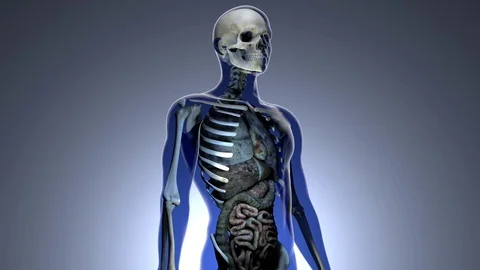 4K Sick Internal Organs and Skeleton in ... | Stock Video | Pond5