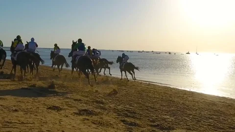 Horse Race Slow Motion Stock Footage ~ Royalty Free Stock Videos | Pond5