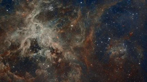 Star Flight Stock Footage ~ Royalty Free Stock Videos | Pond5