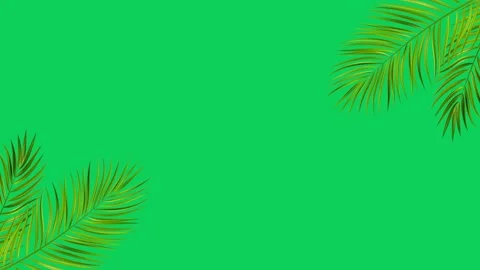 4K Stock video animated footage, green s... | Stock Video | Pond5