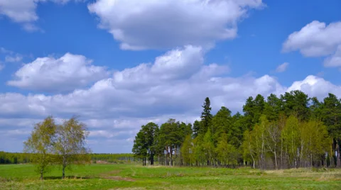 4K Summer landscape. | Stock Video | Pond5