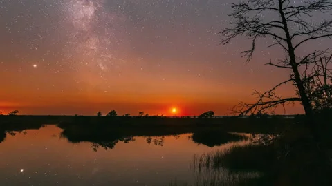 4K Swamp Nature Landscape. Night Starry ... | Stock Video | Pond5