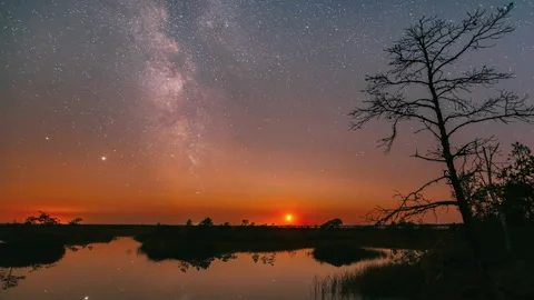 4K Swamp Nature Landscape. Night Starry ... | Stock Video | Pond5