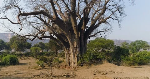 4K tilt up aerial view of a beautiful Ba... | Stock Video | Pond5